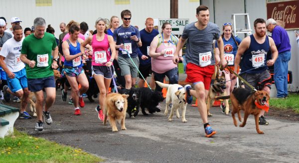 Dog Jog 2017 Final Results - Pets Come First